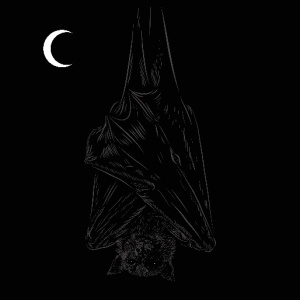 Neowise2020's Profile at Vampire Rave.